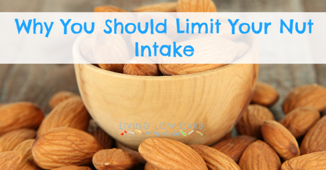 Why You Should Limit Your Nut Intake - Holistically Engineered
